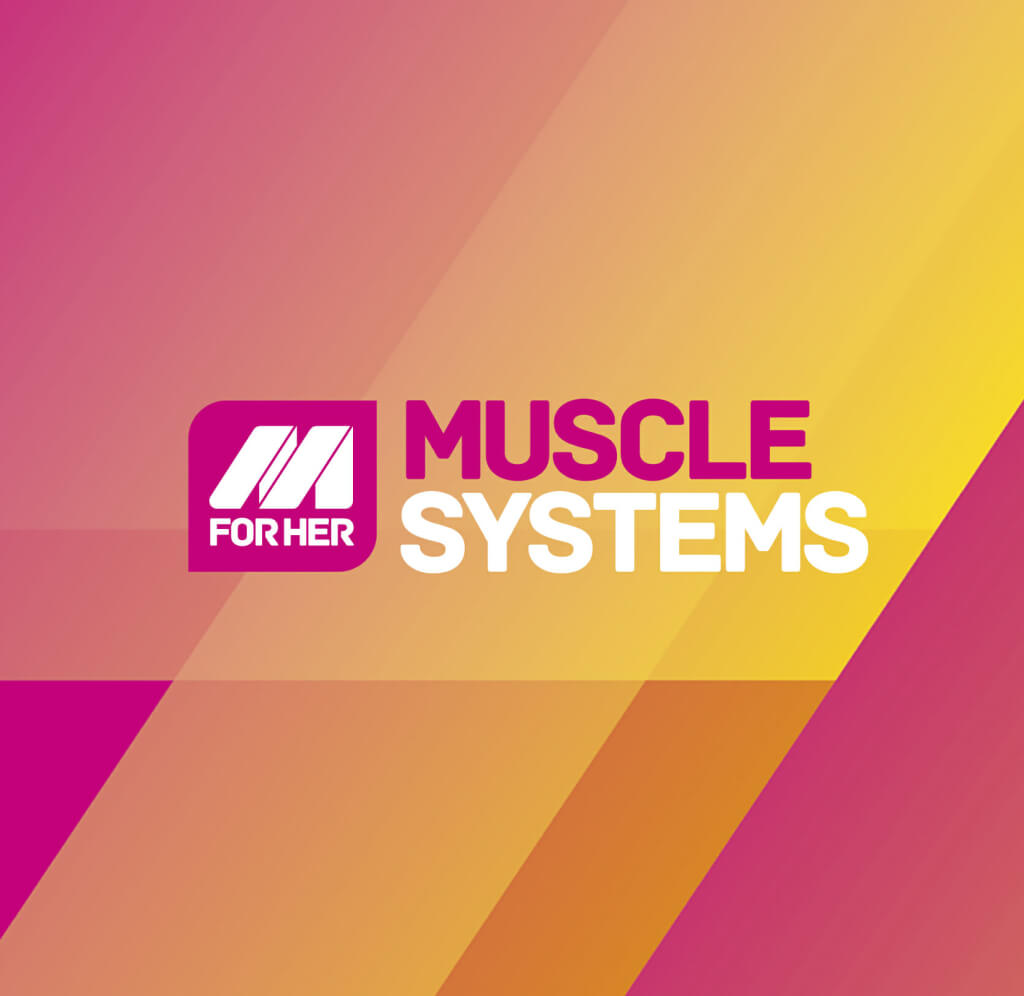 Muscle Systems - Bounce Graphic Design Newcastle